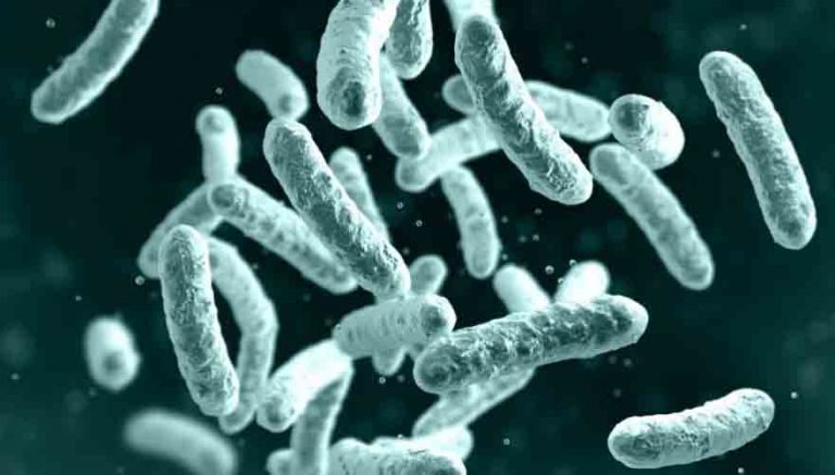 Bubonic Plague Symptoms, Causes and Treatments | USA Health Articles
